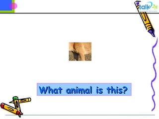 Animal guessing game | PPT