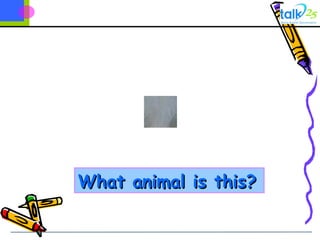 Animal guessing game | PPT