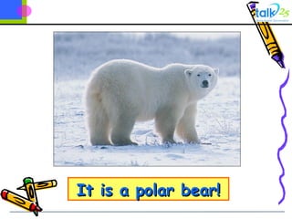 Animal guessing game | PPT