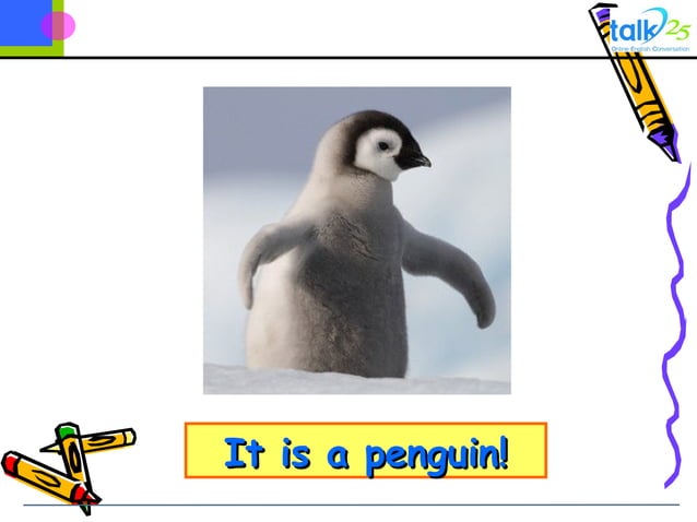 Animal guessing game | PPT