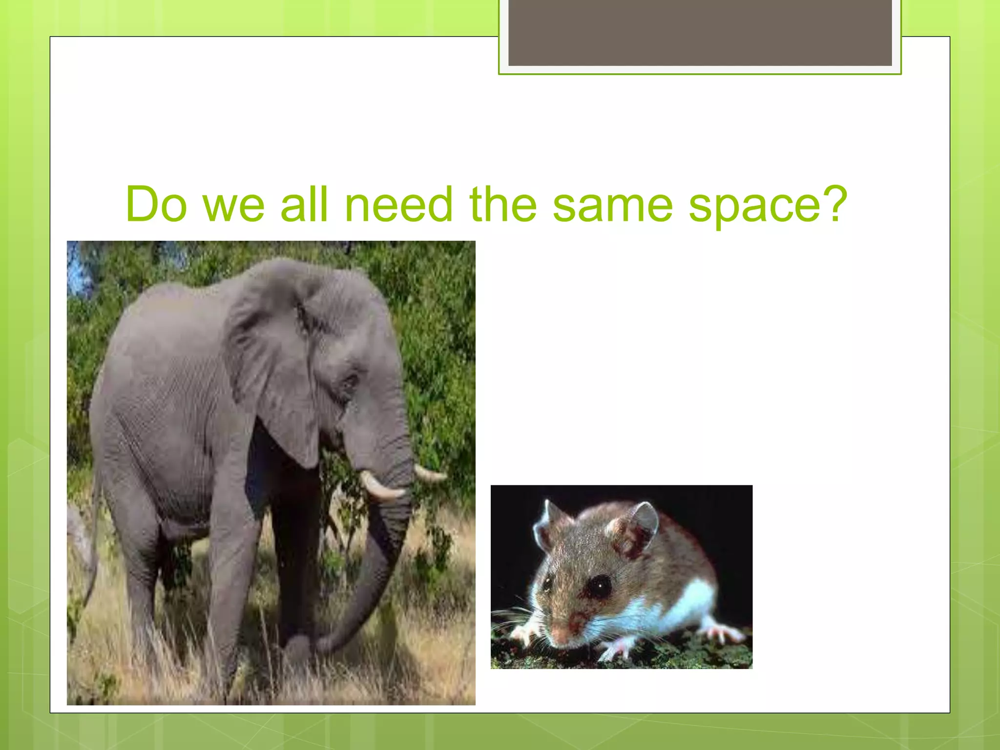 Animal habitat | PPTX