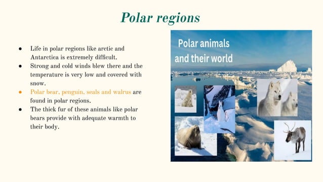 Animal habitat Animal habitaPresentation | PDF