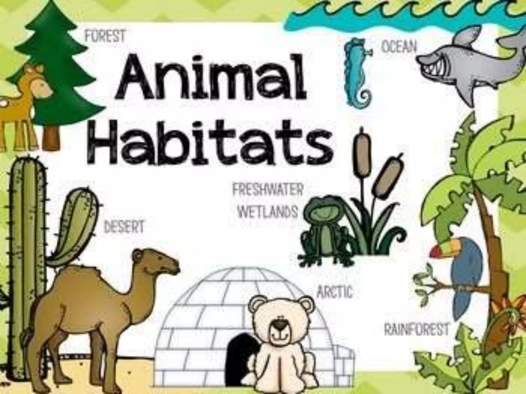 ANIMAL HABITATS-16 MARET 2022.pptx