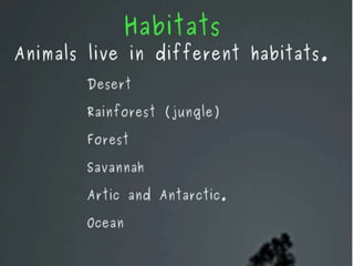 ANIMAL HABITATS-16 MARET 2022.pptx