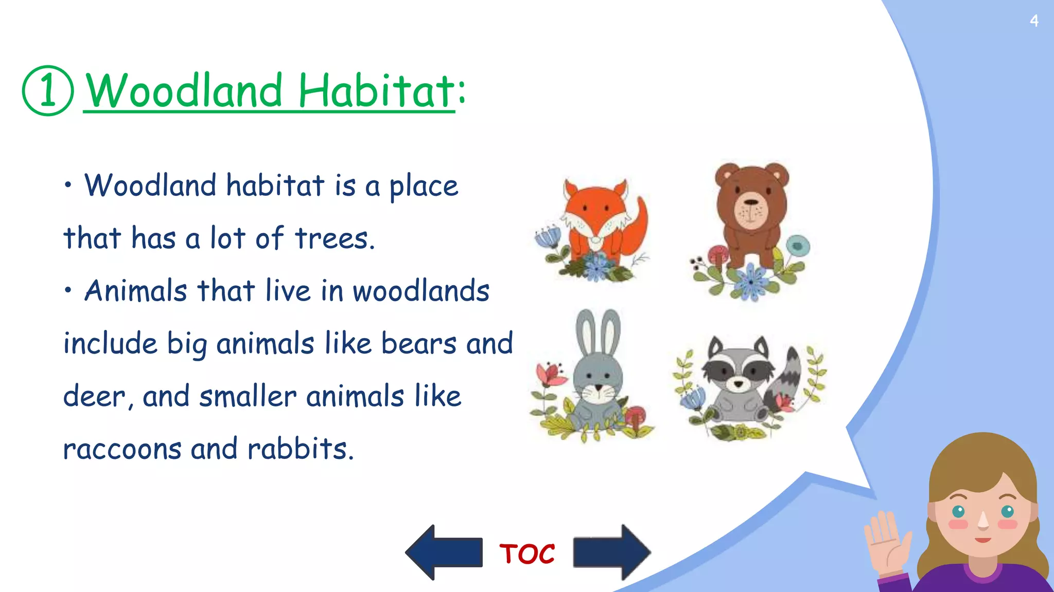 Animal Habitats.pptx
