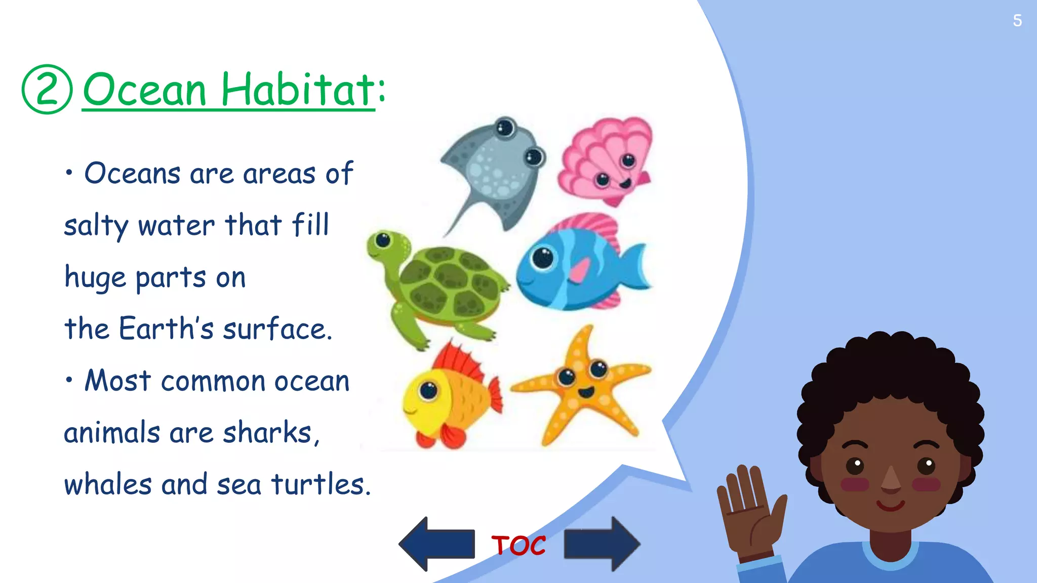 Animal Habitats.pptx