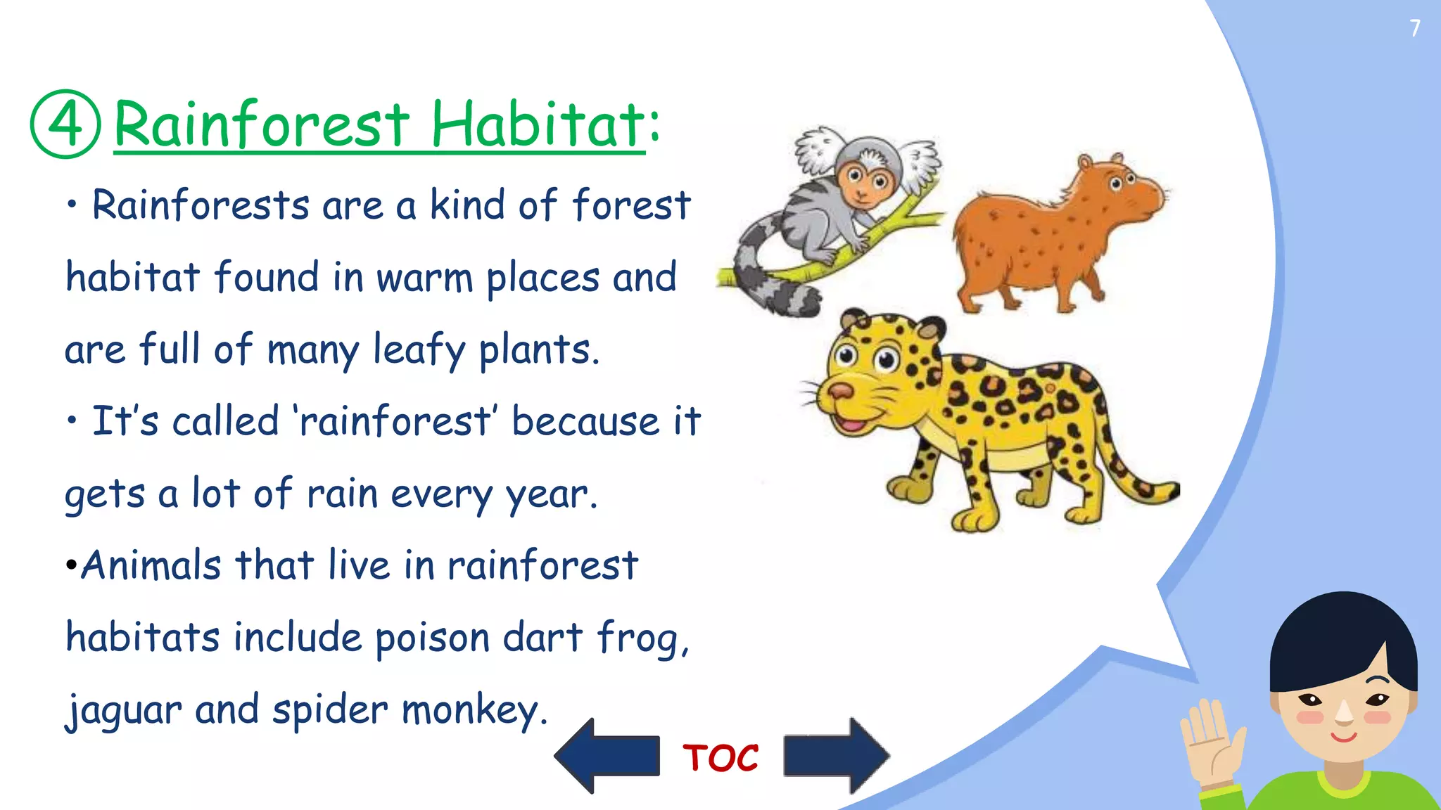 Animal Habitats.pptx