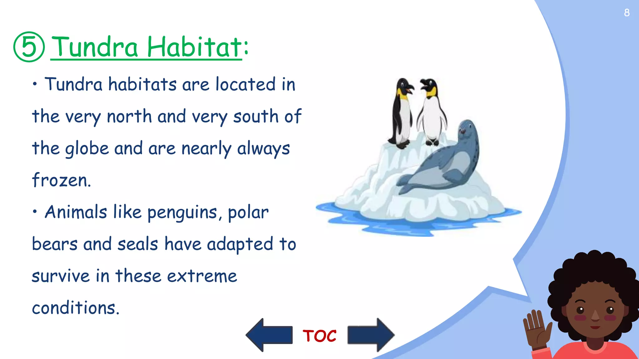 Animal Habitats.pptx