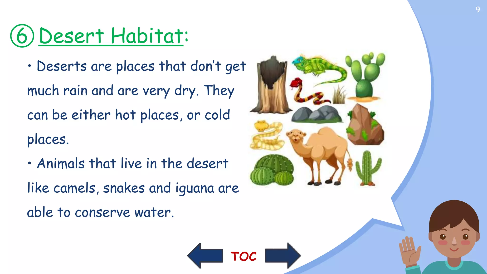 Animal Habitats.pptx