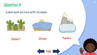 Animal Habitats.pptx