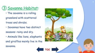 Animal Habitats.pptx