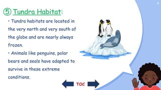 Animal Habitats.pptx