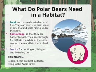 knowing all Animal Habitats PowerPoint.ppt
