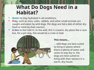 knowing all Animal Habitats PowerPoint.ppt