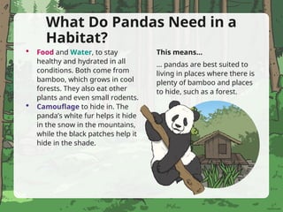 knowing all Animal Habitats PowerPoint.ppt