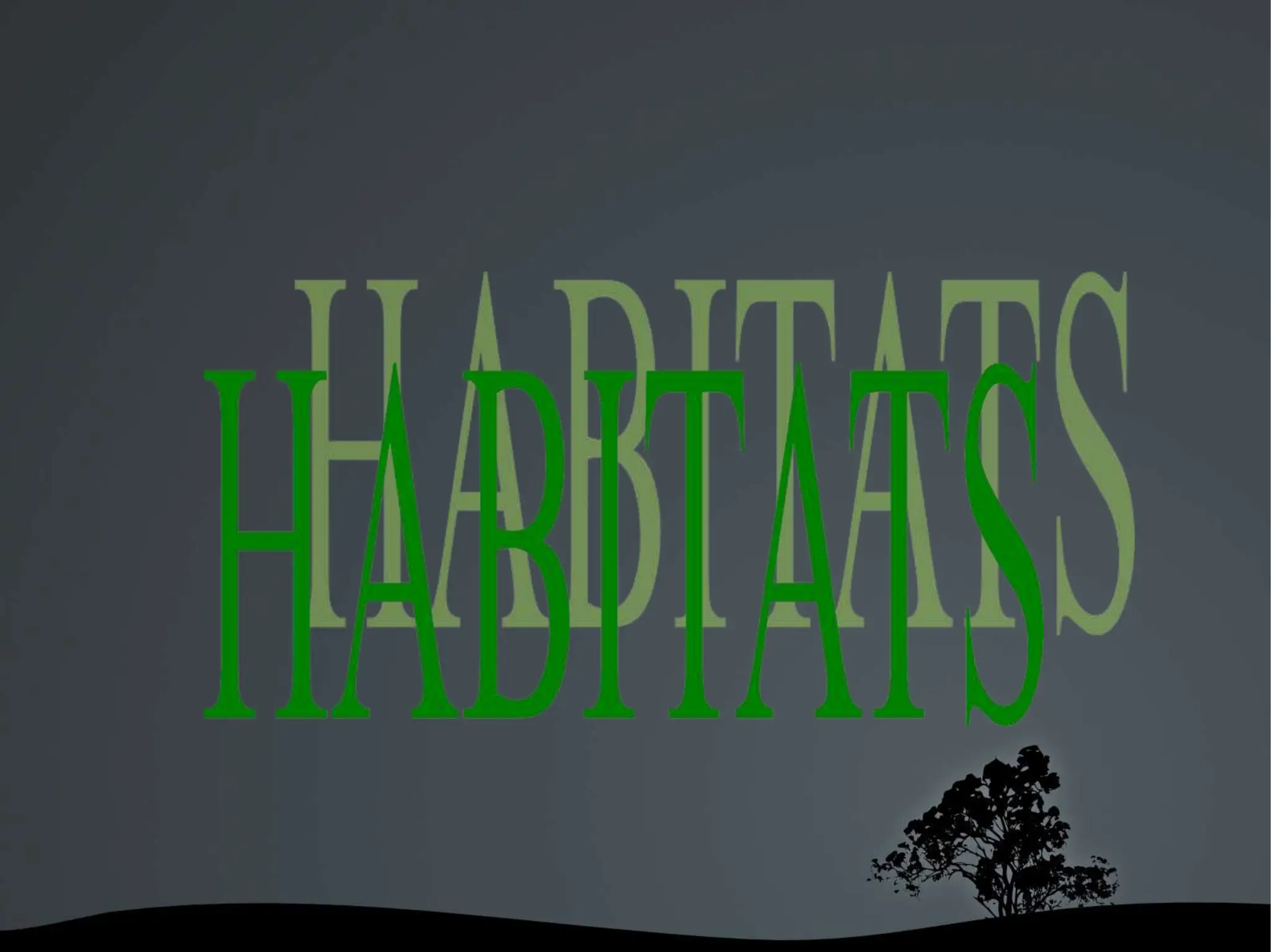 animal habitats pptx.pptx NATURAL ENVIRONMENTS FOR KIDS | PPTX