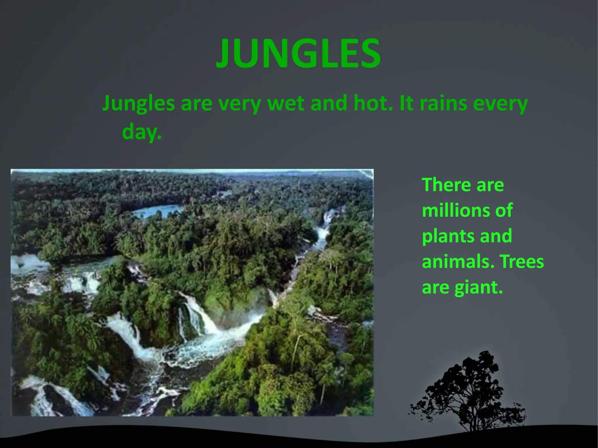 animal habitats pptx.pptx NATURAL ENVIRONMENTS FOR KIDS | PPTX