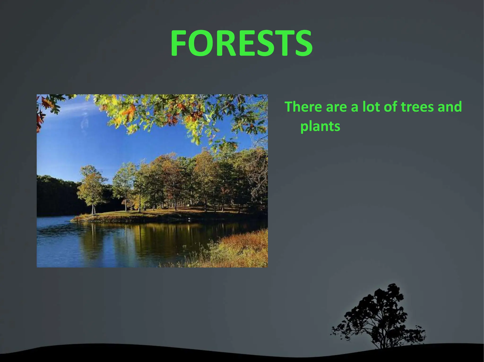 animal habitats pptx.pptx NATURAL ENVIRONMENTS FOR KIDS | PPTX