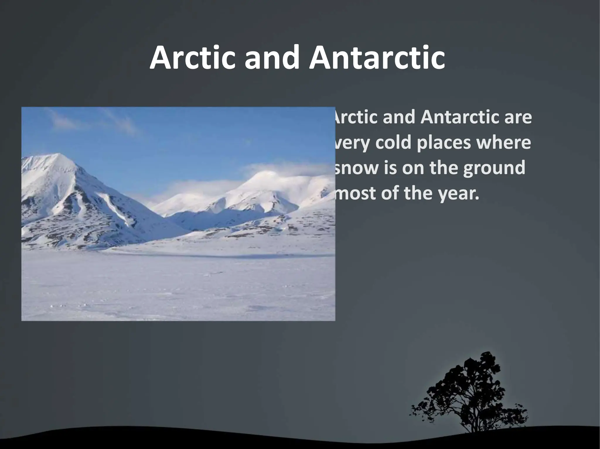 animal habitats pptx.pptx NATURAL ENVIRONMENTS FOR KIDS | PPTX