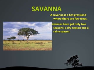 animal habitats pptx.pptx NATURAL ENVIRONMENTS FOR KIDS | PPTX