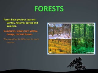 animal habitats pptx.pptx NATURAL ENVIRONMENTS FOR KIDS | PPTX