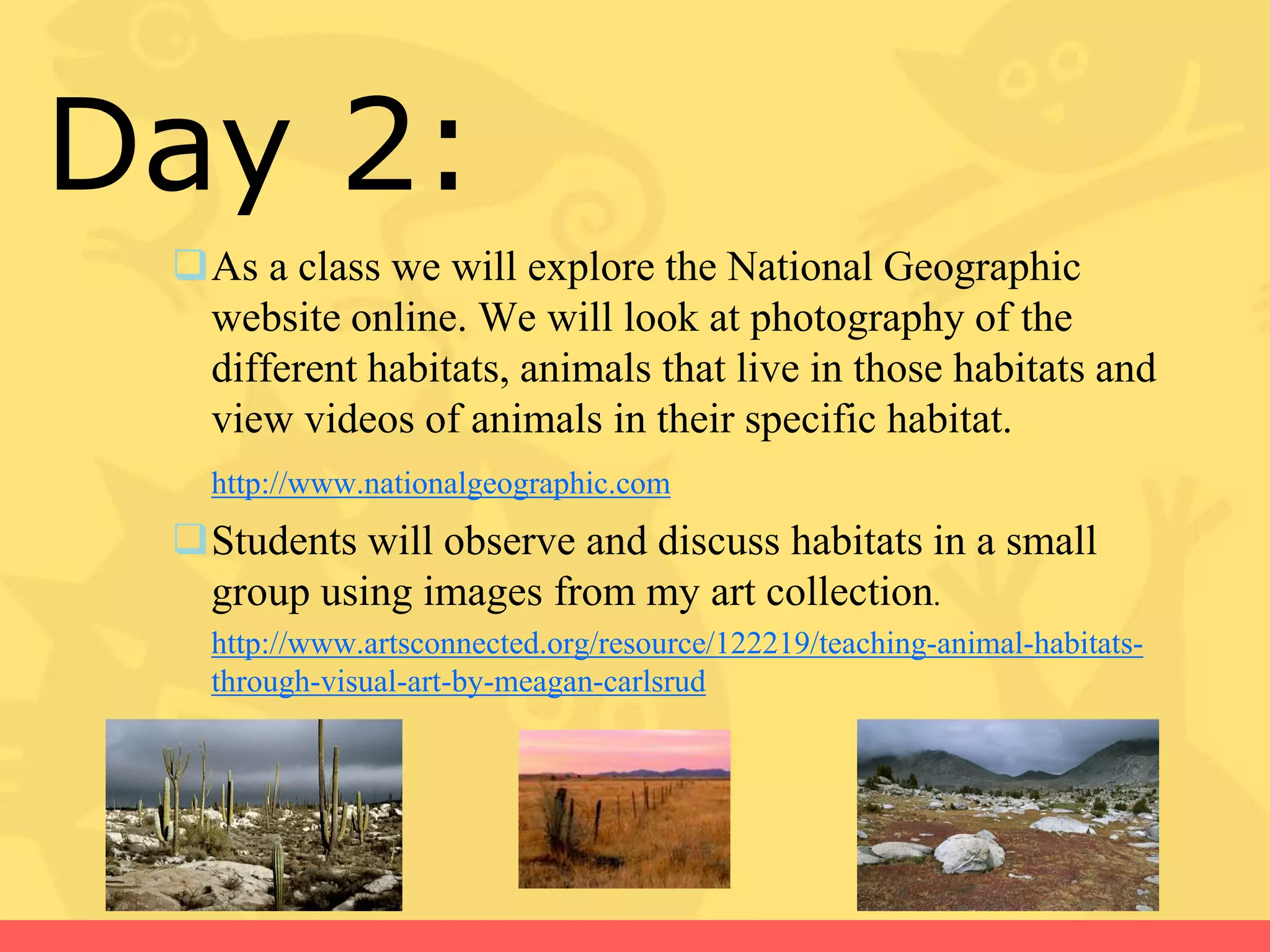 Animal habitats presentation | PDF
