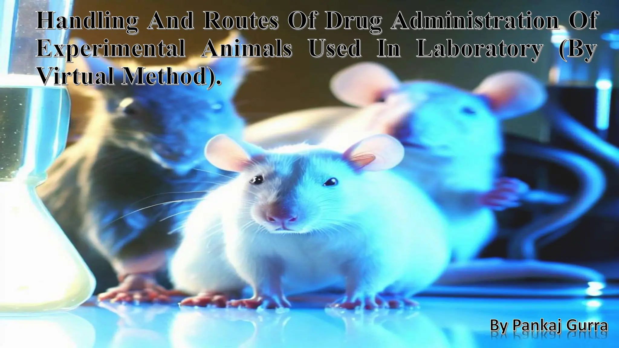 Handling And Routes Of Drug Administration Of Experimental Animals Used ...