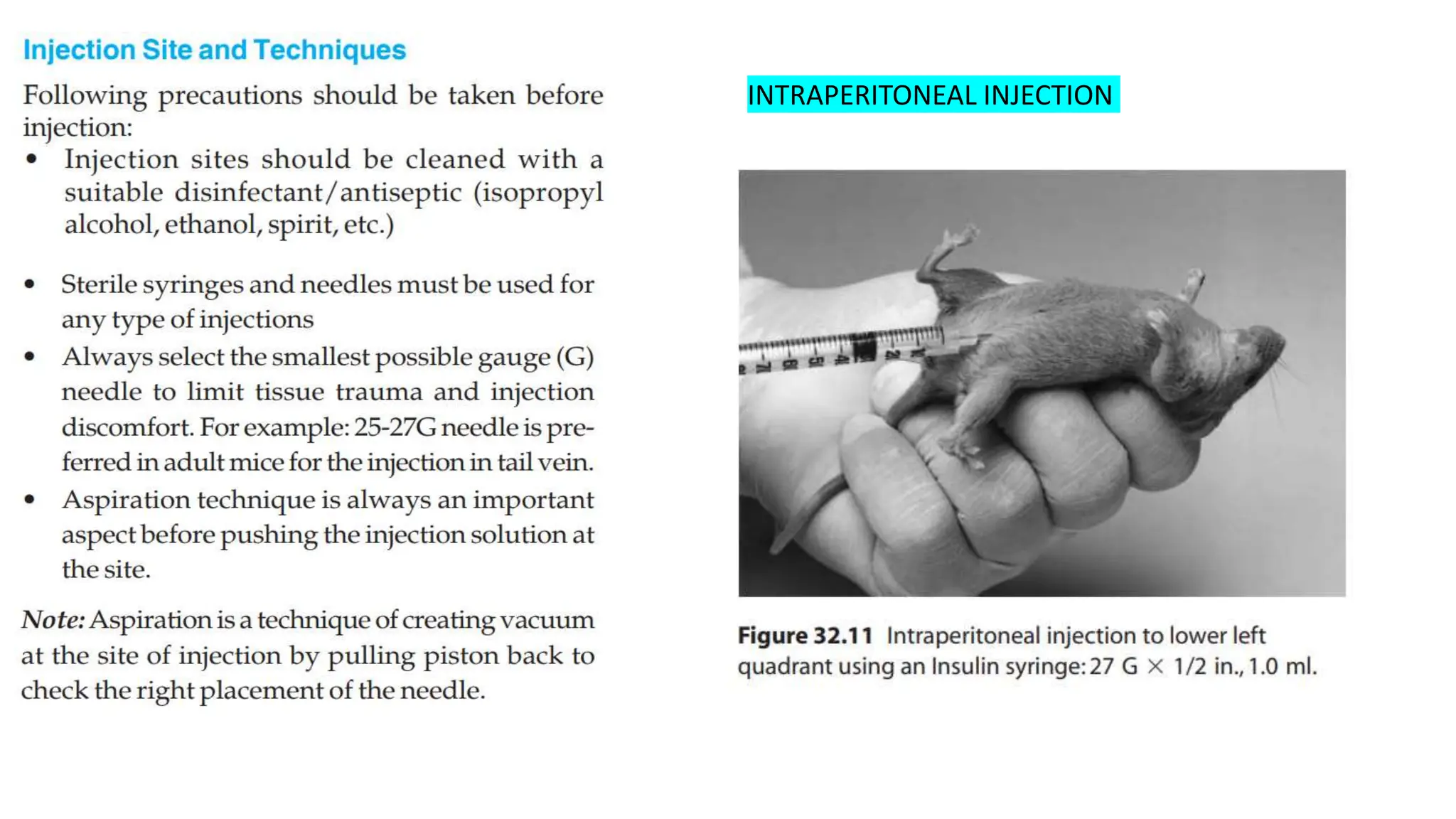 Handling And Routes Of Drug Administration Of Experimental Animals Used ...