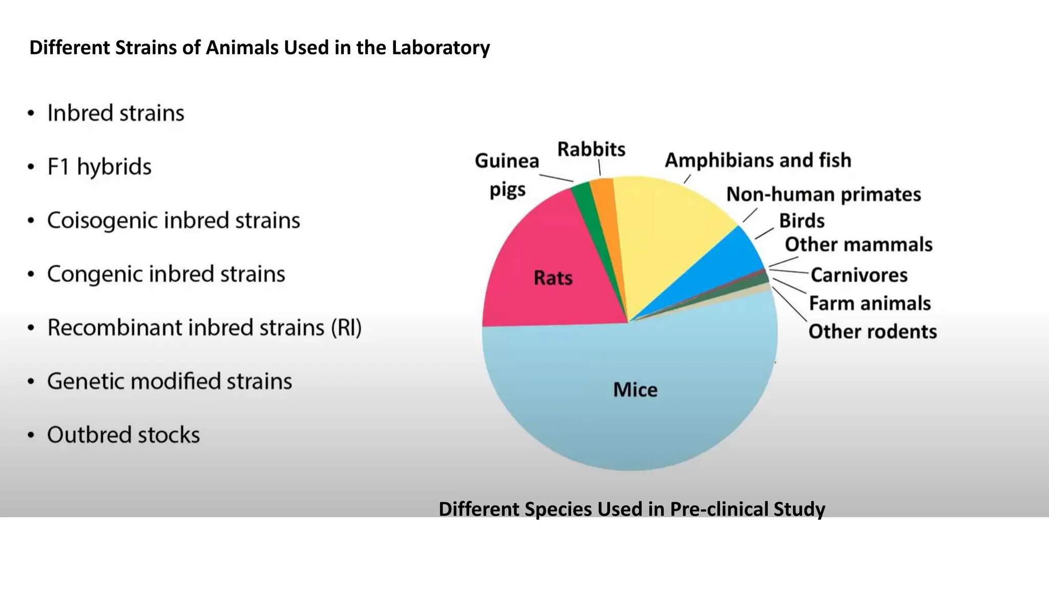 Handling And Routes Of Drug Administration Of Experimental Animals Used ...