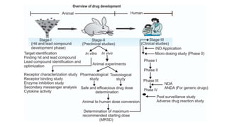 Handling And Routes Of Drug Administration Of Experimental Animals Used ...