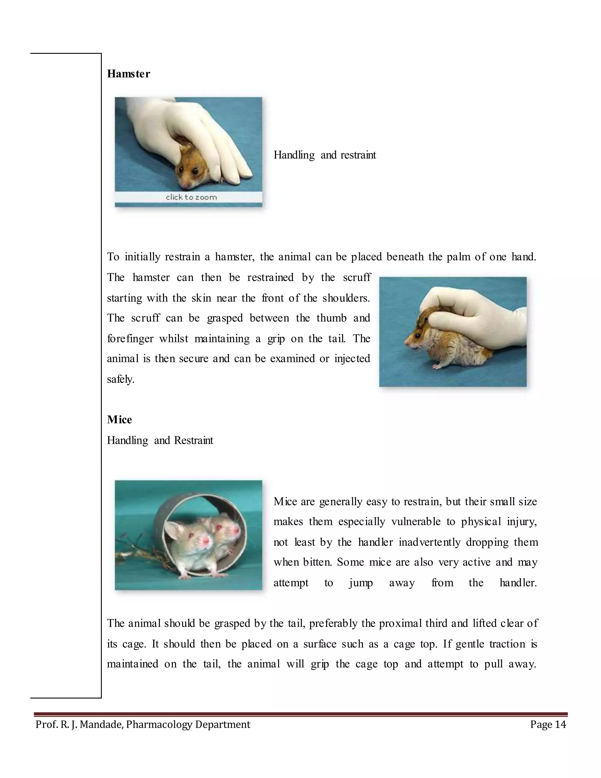 Animal handling 03 | DOCX