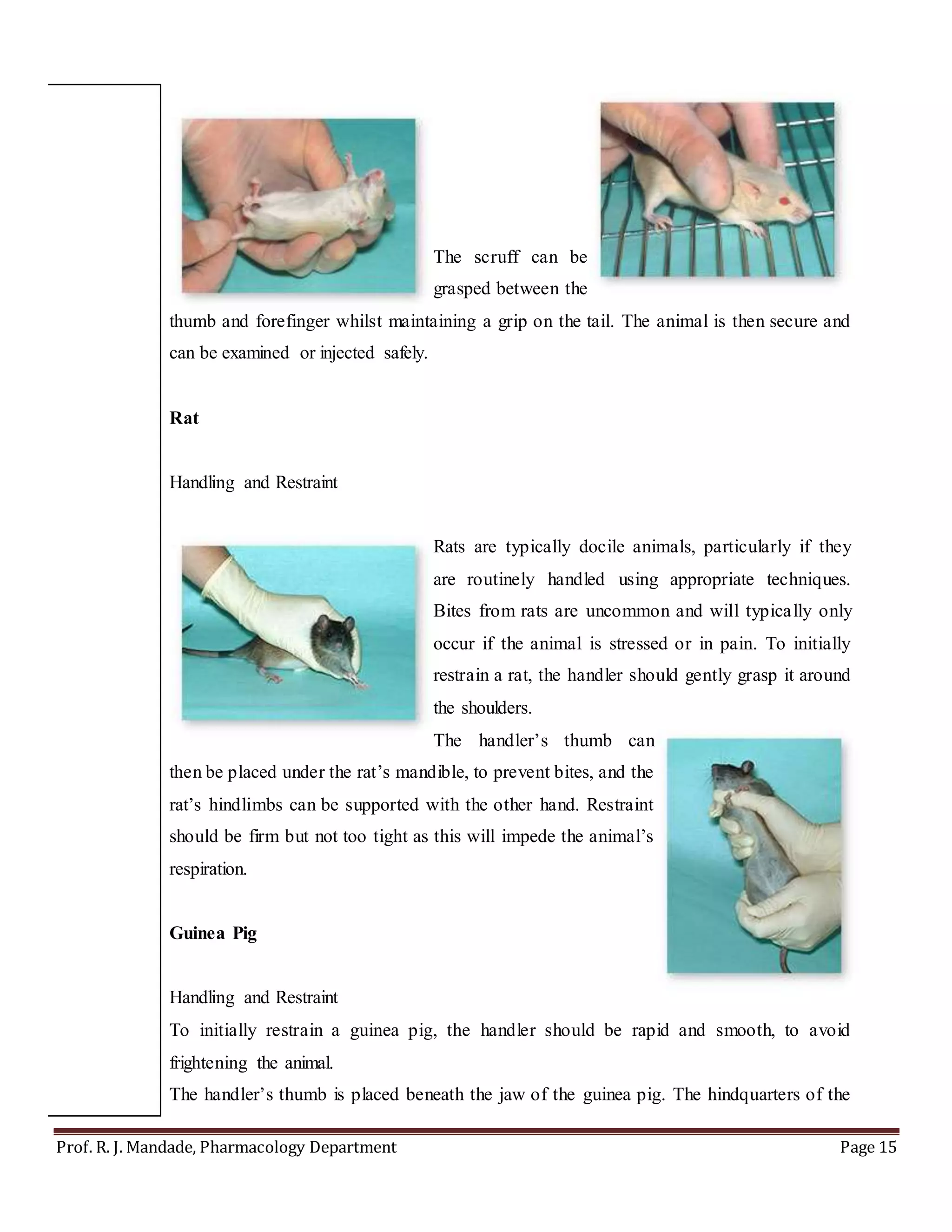 Animal handling 03 | DOCX