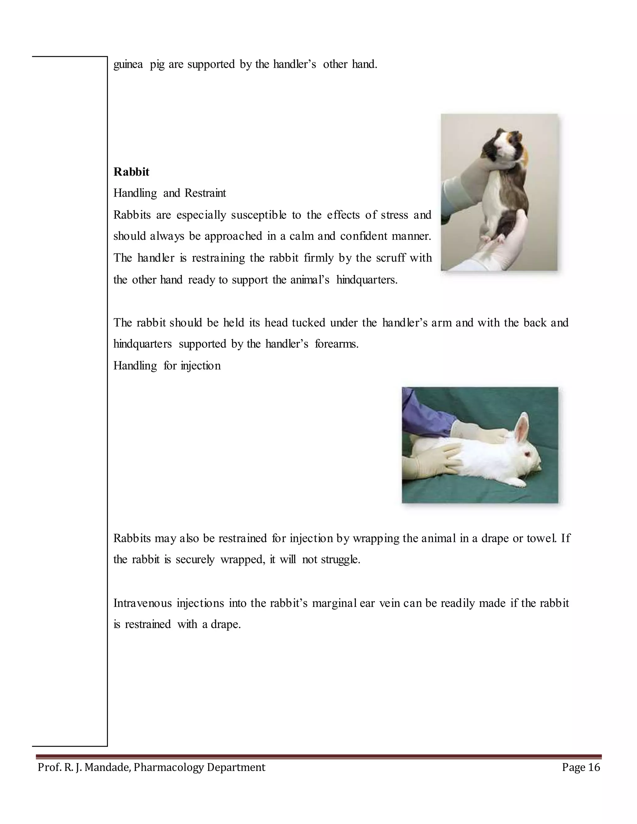 Animal handling 03 | DOCX