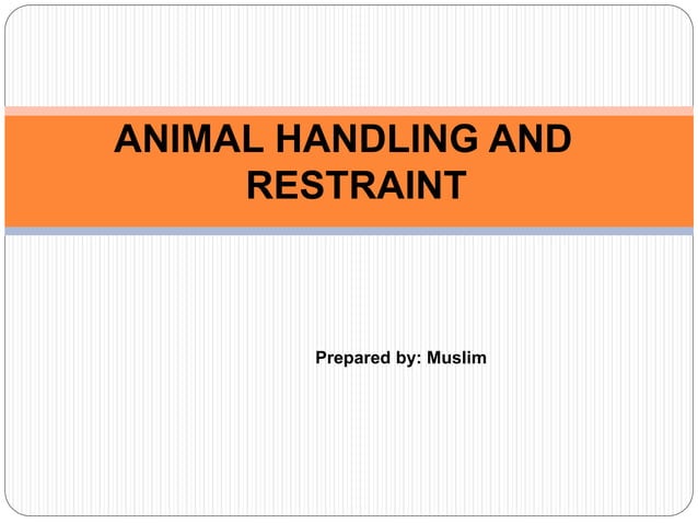 Animal handling & Restrain | PPTX