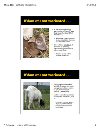 Small Ruminant Health | PDF | Foot Health | Diseases and Conditions