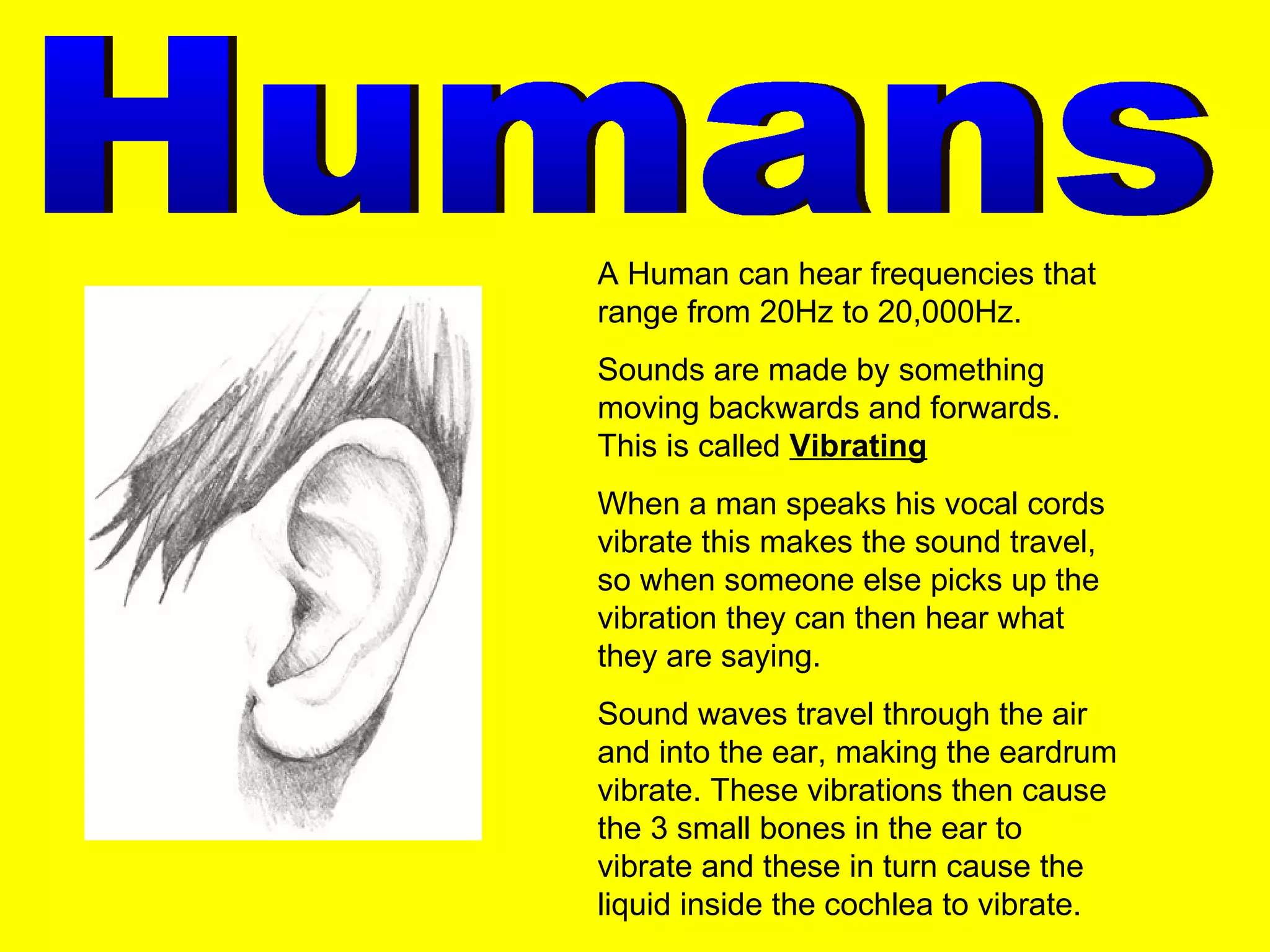 Animal Hearing Range | PPT