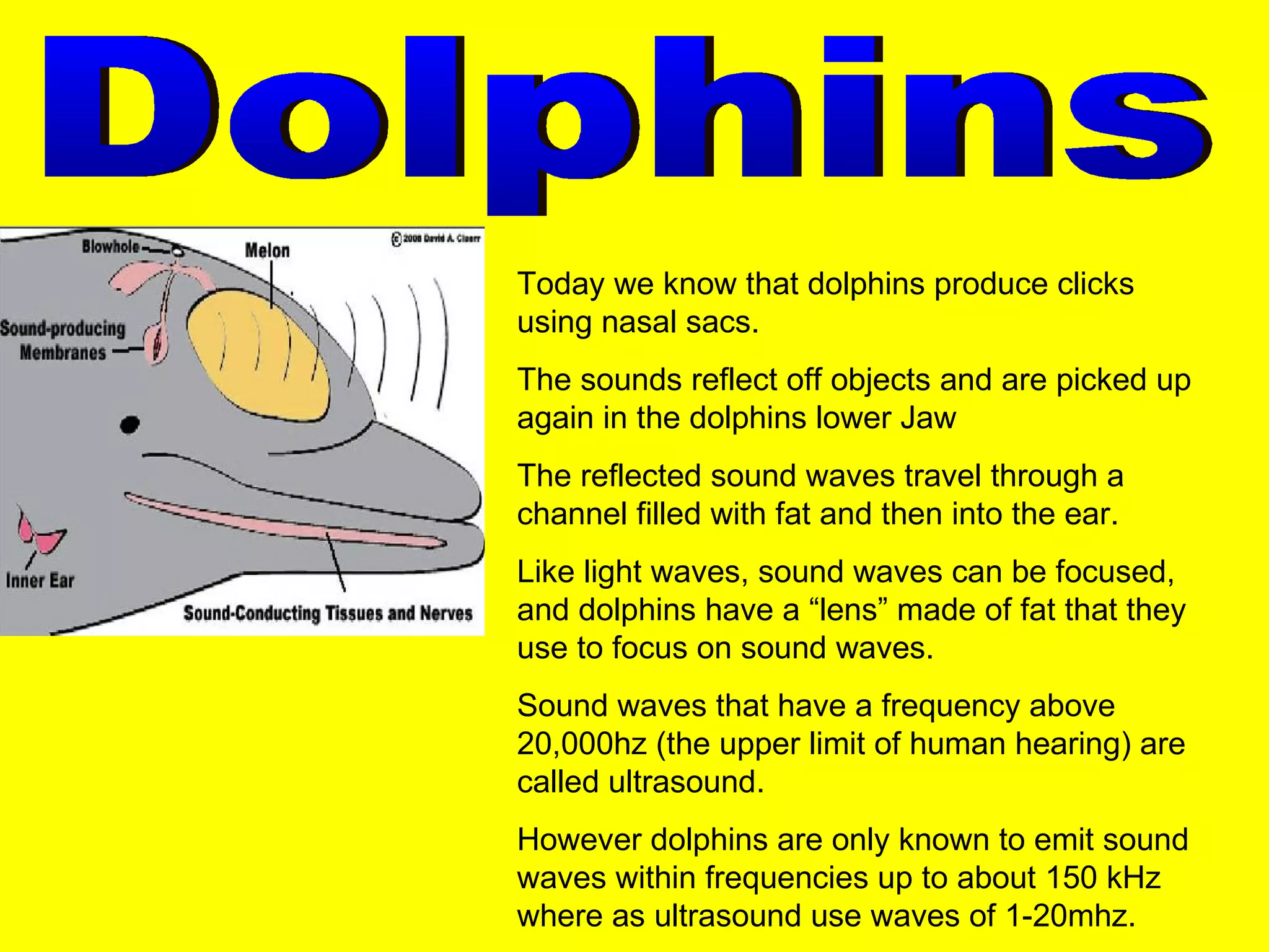 Animal Hearing Range | PPT