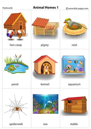 Animal Homes1.pdf