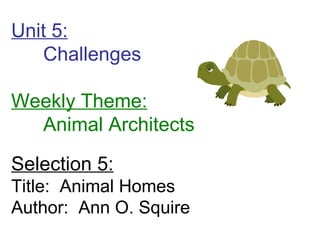 Animal Homes Focus Wall | PPT