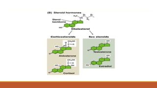 The presentation on animal hormones and their types | PPTX