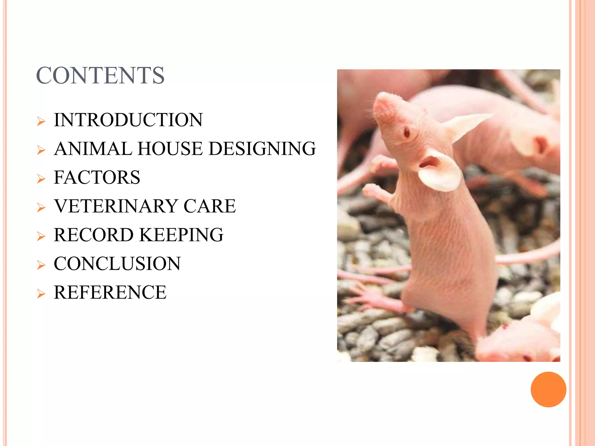 Animal house managemant | PPTX