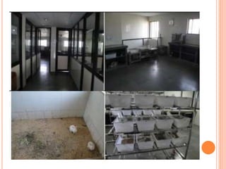 Animal house managemant | PPTX