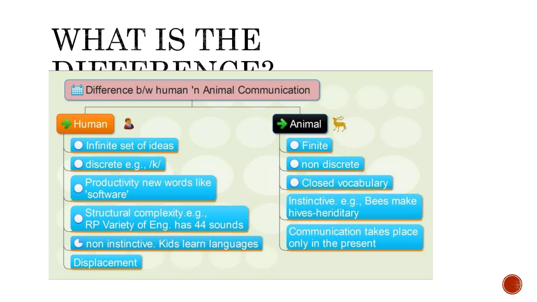 Animal & human language ppt. | PPTX
