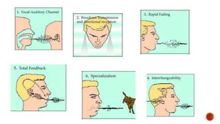 Animal & human language ppt. | PPTX