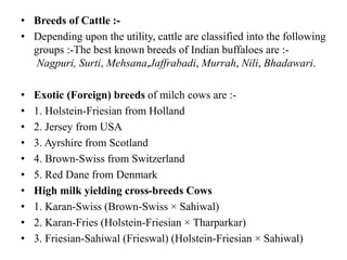 Animal_Husbandary.pptx | Agriculture | Industries