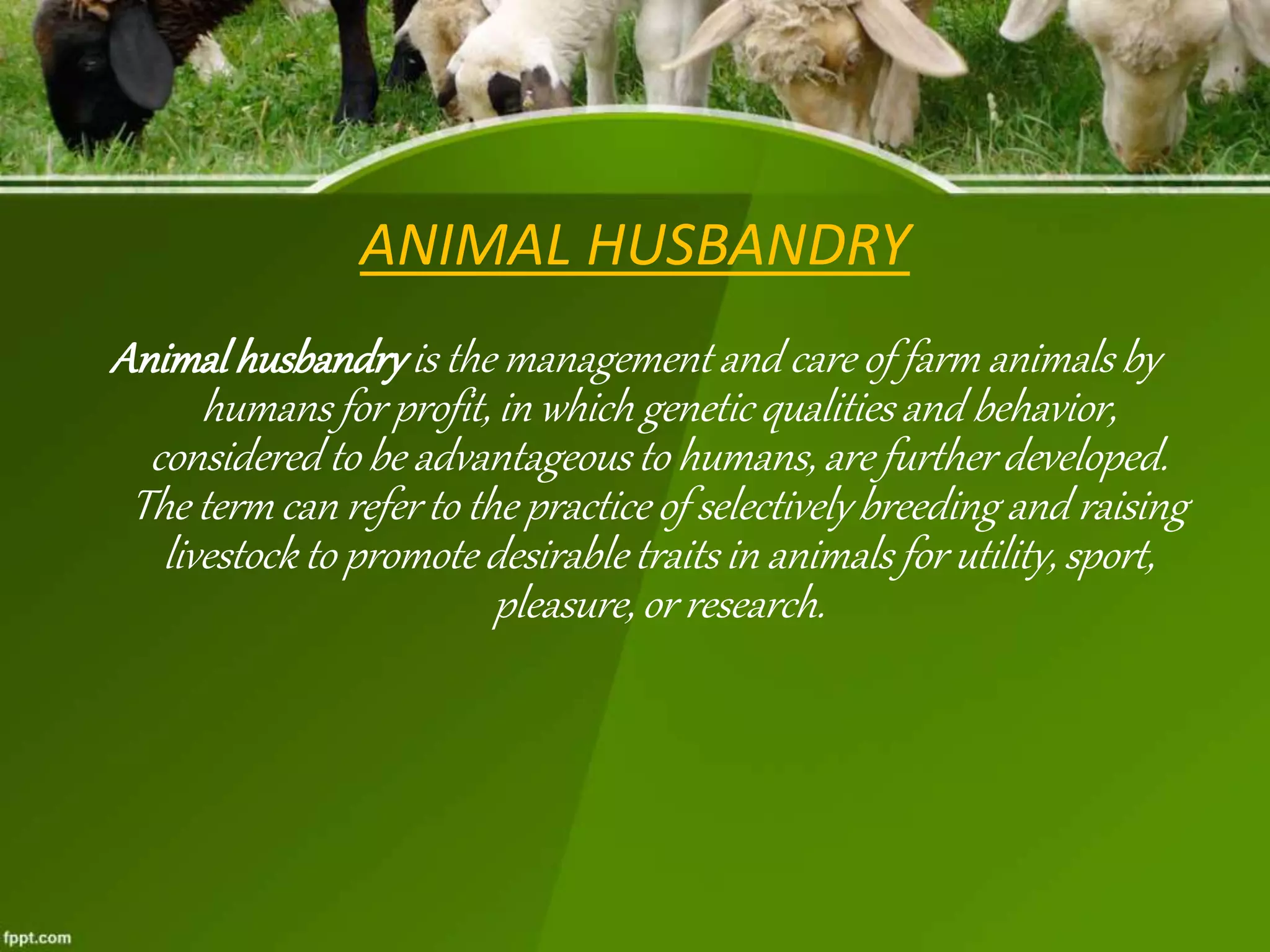 Animal husbandry | PPTX