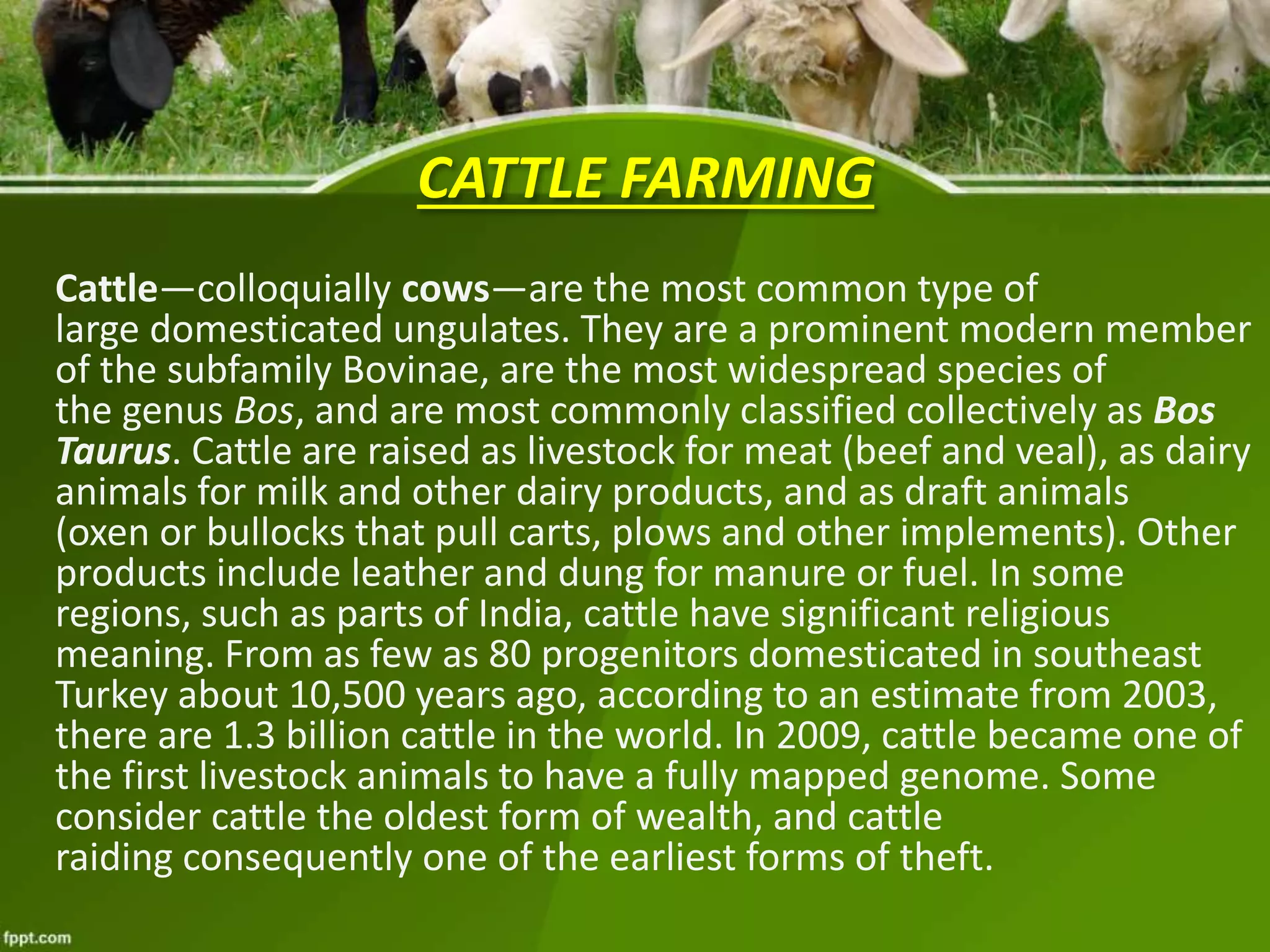 Animal husbandry | PPTX