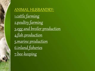 Animal husbandry | PPTX