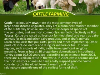 Animal husbandry | PPTX