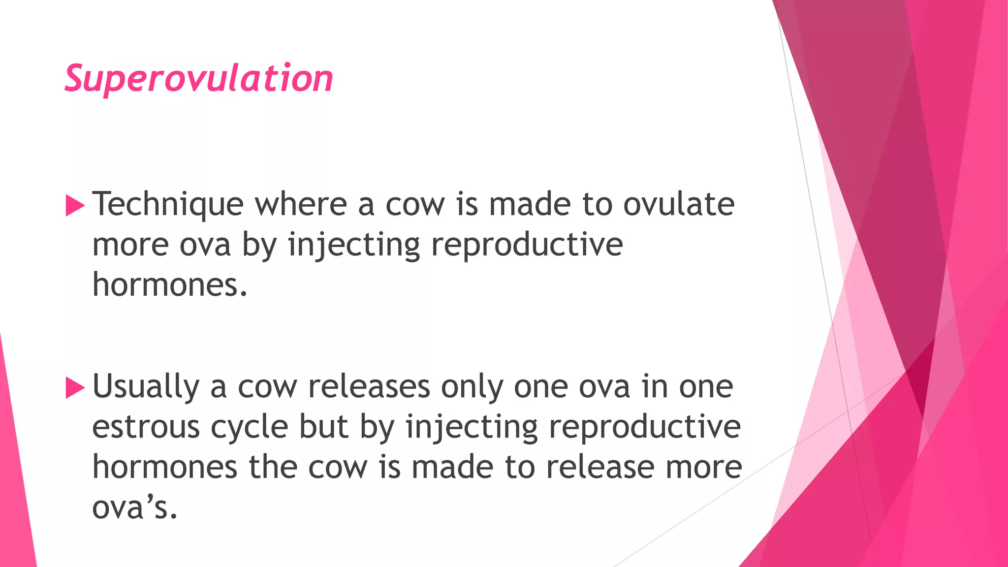 Animal husbandry | PPTX